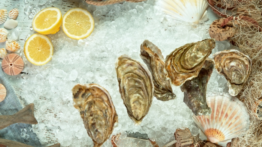 Half Shell Mussels Stock Video Footage - 4K and HD Video Clips ...