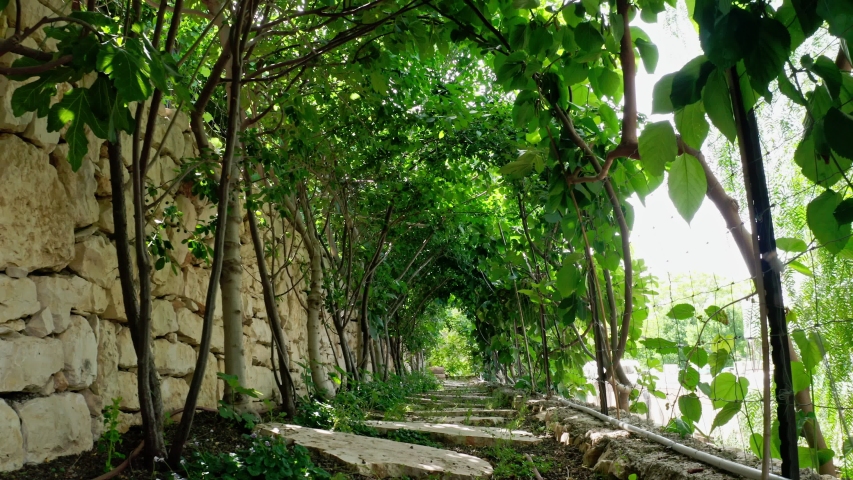 Landscape inside the Gardens image - Free stock photo - Public Domain ...