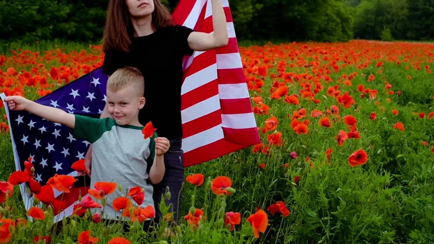 American Flag Farm Stock Video Footage - 4K and HD Video Clips ...