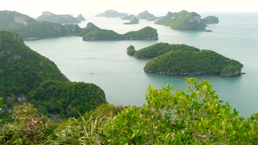 Thong Stock Video Footage - 4K and HD Video Clips | Shutterstock