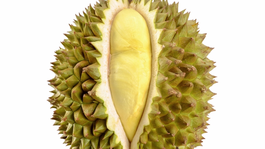 Durian White Background Stock Video Footage - 4K and HD Video Clips ...