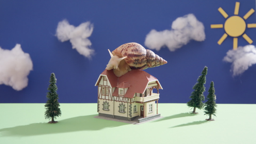 Slug House Stock Video Footage - 4K and HD Video Clips | Shutterstock