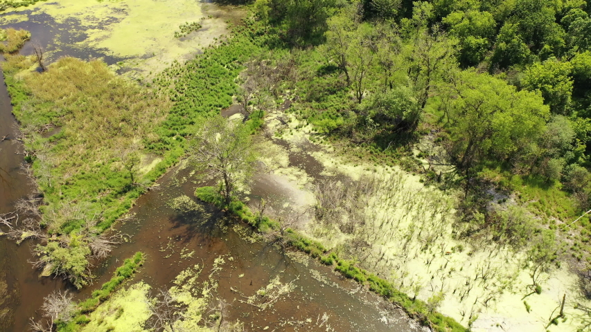 Marsh in Madison, Wisconsin image - Free stock photo - Public Domain ...