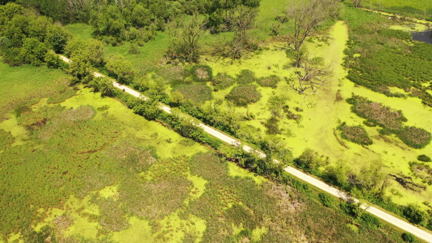 Marsh in Madison, Wisconsin image - Free stock photo - Public Domain ...