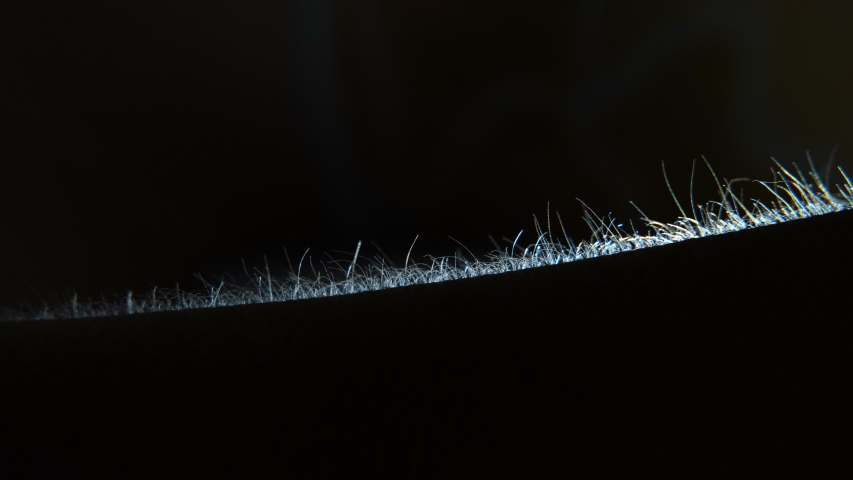 close-up silhouette man's arm hair rising Stock Footage Video (100% ...