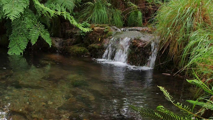 small river waterfall tropical beautiful natural Stock Footage Video ...