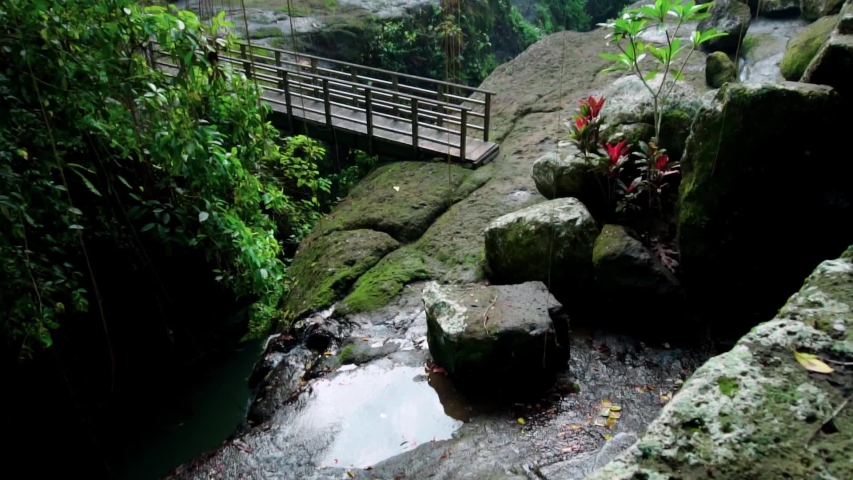 video jungle cliff on high mountain Stock Footage Video (100% Royalty ...