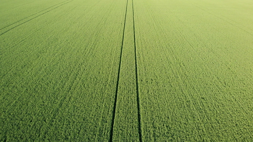 Aerial View of Natural Green Stock Footage Video (100% Royalty-free ...