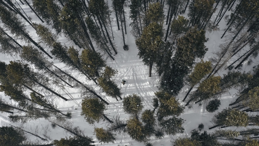 Snowboard Top View Stock Video Footage - 4K and HD Video Clips ...