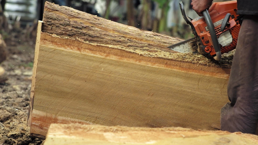 Log Stock Video Footage - 4K and HD Video Clips | Shutterstock