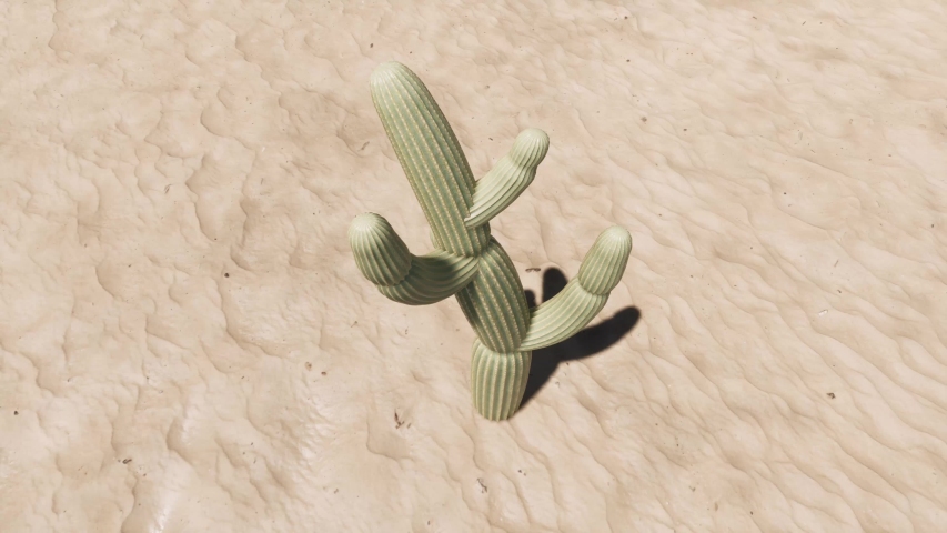 desert cactus 3d game design nature Stock Footage Video (100% Royalty ...