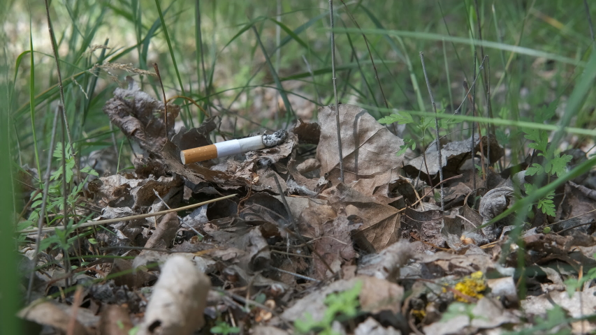 Cigarette in the Woods. Cigarette Stock Footage Video (100% Royalty ...