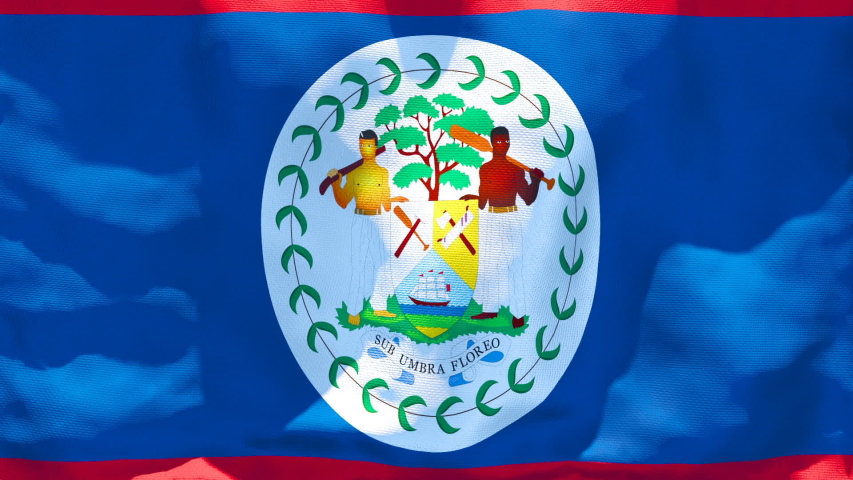National Flag Belize Flying Wind Stock Footage Video (100% Royalty-free ...