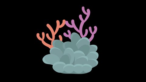 Animated Coral Reef Background Alpha Channel Stock Footage Video (100% ...