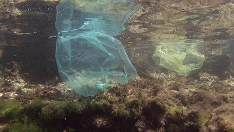 Plastic Pollution Yellow Transparent Plastic Bags Stock Footage Video ...