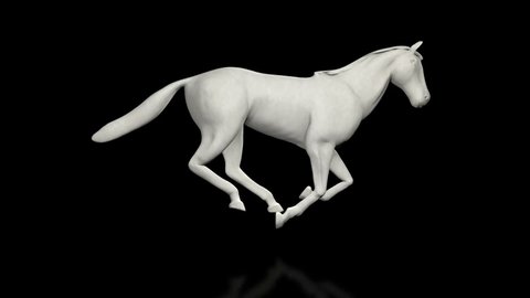 White Horse Runs Gallop Isolated Cyclic Stock Footage Video (100% ...
