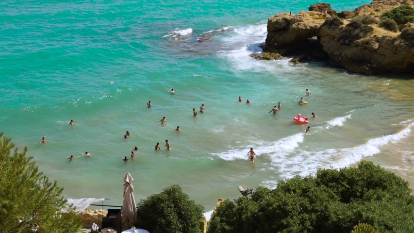 Top View Group Bathers Bathing Clear Stock Footage Video (100% Royalty ...