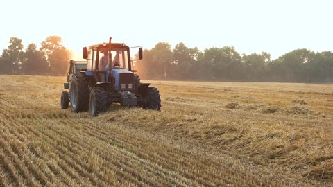 Tractor Harvesting Field Straw Harvester Agriculture Stock Footage ...