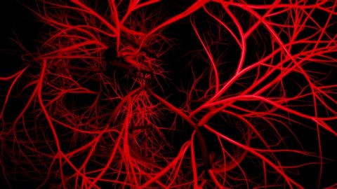 Blood Vessel Nerve Cells Strings Virtual Stock Footage Video (100% ...