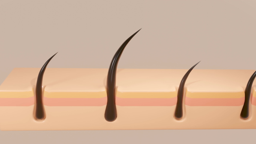 900 Plant Root Icon Stock Video Footage - 4K and HD Video Clips ...