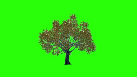 Oak Tree Logo Illustration Vector Silhouette Stock Vector (Royalty Free ...