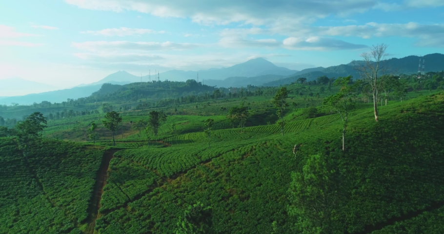 91 Subang indonesia Stock Video Footage - 4K and HD Video Clips ...