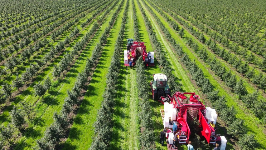 Cherry pickers Stock Video Footage - 4K and HD Video Clips | Shutterstock