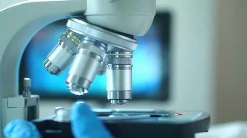 Scientist Analyzing Microscope Slide Laboratory Young Stock Photo ...