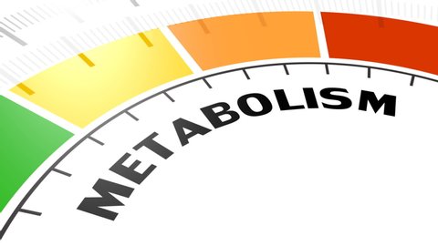 Metabolism Level Scale Arrow Measuring Device Stock Footage Video (100% ...