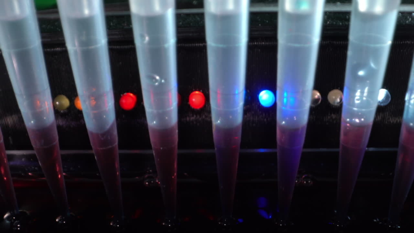 Dna Pcr Stock Video Footage - 4K and HD Video Clips | Shutterstock