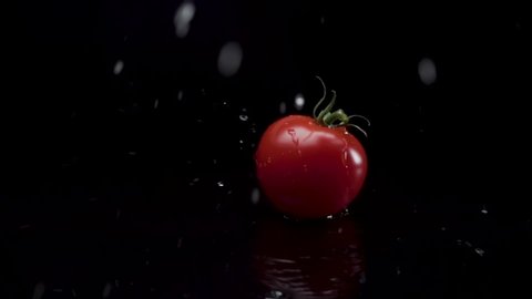 realistic tomato spinning alpha transparent Stock Footage Video (100% ...