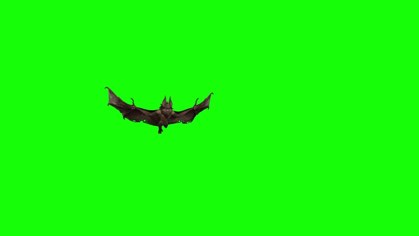 animation bat flying different actions set Stock Footage Video (100% ...