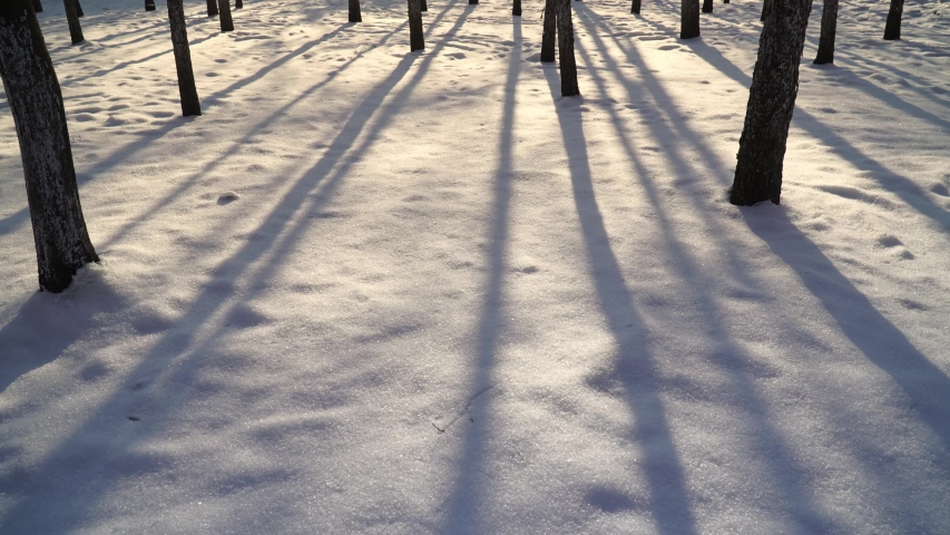 Shadow Line Vertical Stock Video Footage - 4K and HD Video Clips ...