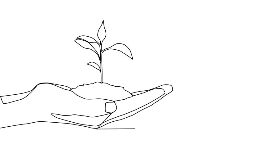 2,714 Drawings of growing plants Stock Video Footage - 4K and HD Video ...