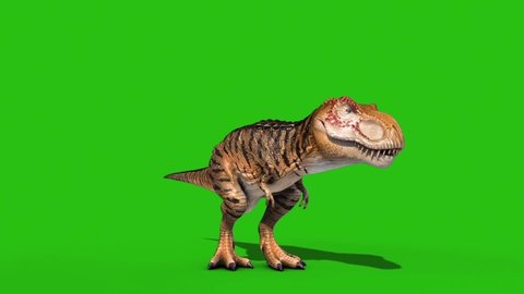 156 T Rex 3d Model Stock Video Footage - 4K and HD Video Clips ...