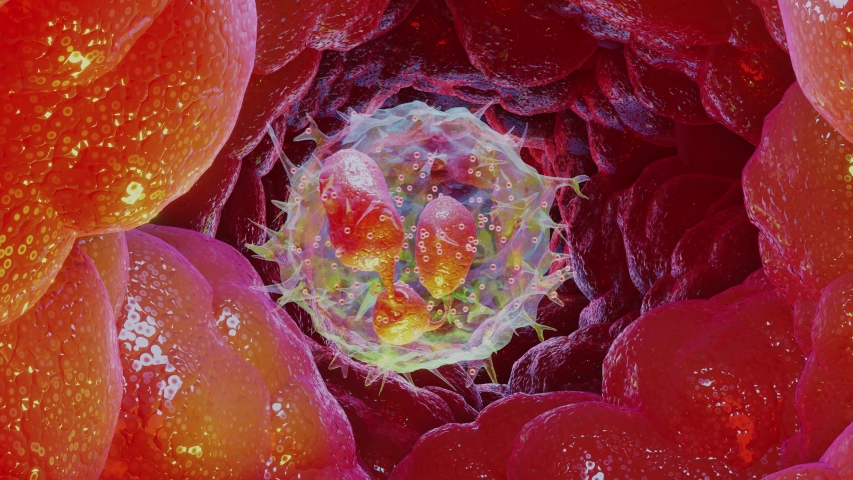 Types Of Stem Cells Stock Video Footage - 4K and HD Video Clips ...