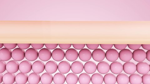 animation skin layer pink cell repair Stock Footage Video (100% Royalty ...