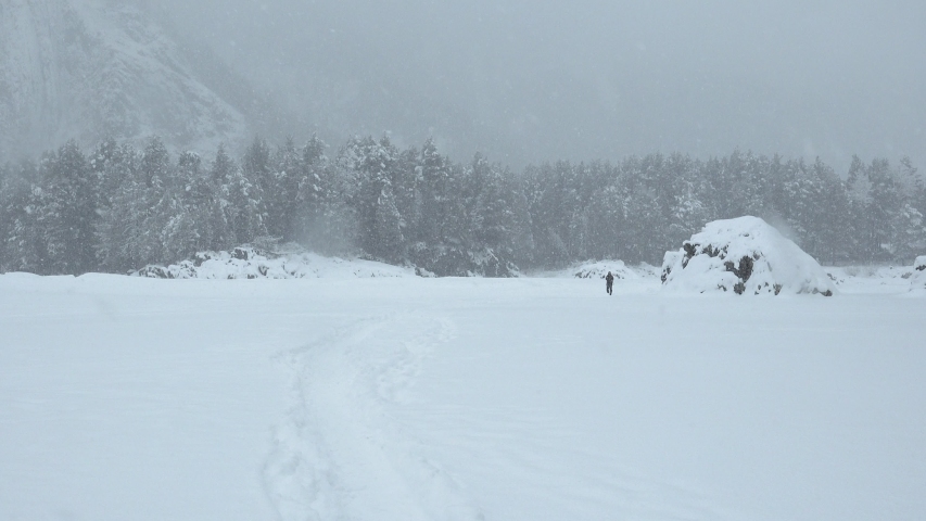 Snowflake Fairy Tale Stock Video Footage - 4K and HD Video Clips ...