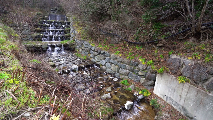 Nari Stock Video Footage - 4K and HD Video Clips | Shutterstock