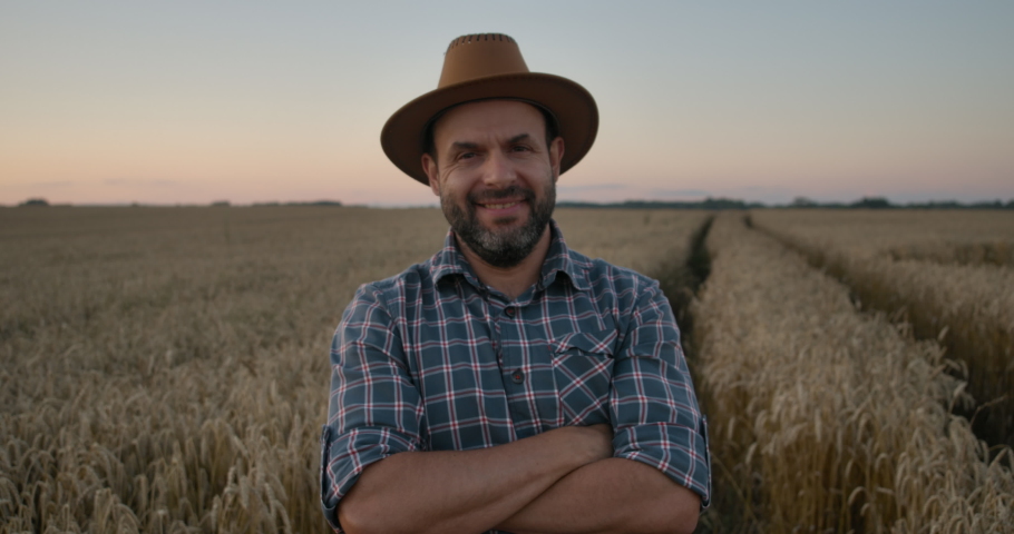 Wheat Beard Stock Video Footage - 4K and HD Video Clips | Shutterstock