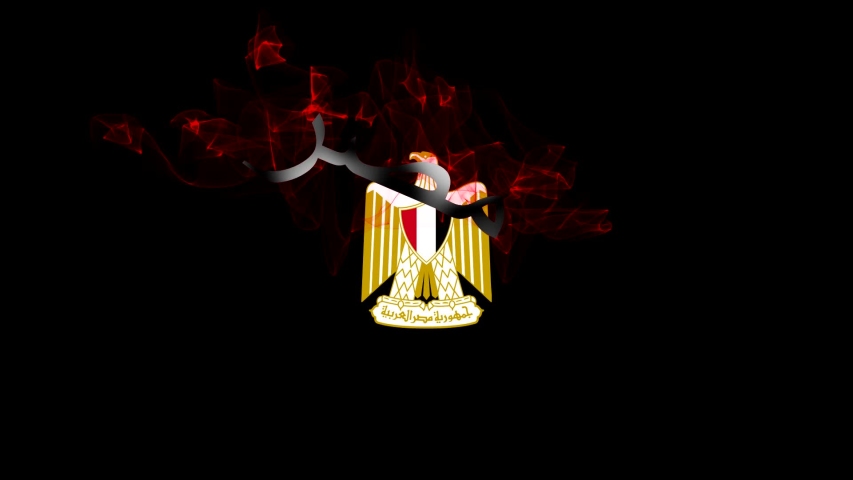 Arabic Eagle Stock Video Footage - 4K and HD Video Clips | Shutterstock