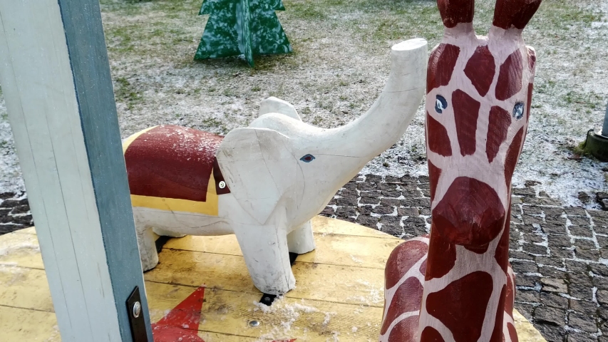 Elephant Round Stock Video Footage - 4K and HD Video Clips | Shutterstock