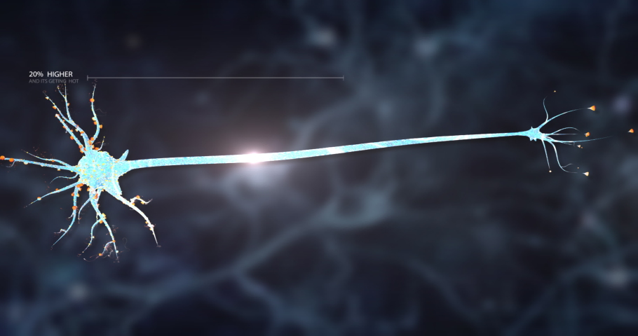 Neuron and Synapses 3d Animation, Stock Footage Video (100% Royalty ...