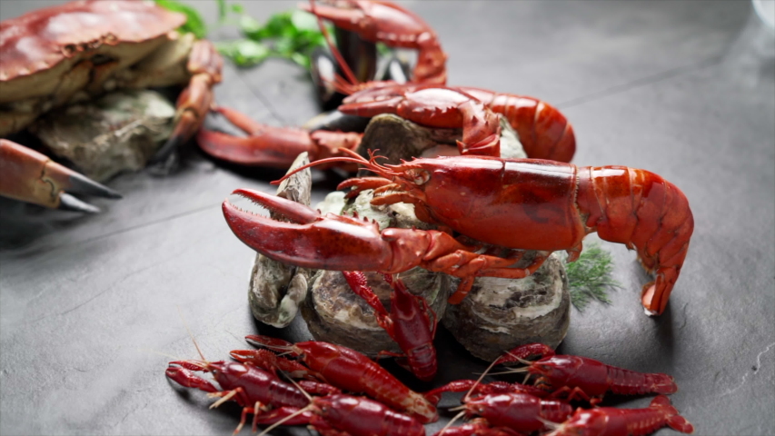 Red Claw Crayfish Stock Video Footage - 4K and HD Video Clips ...