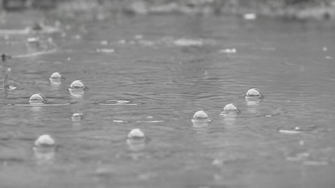 slow motion speed close scene on Stock Footage Video (100% Royalty-free ...