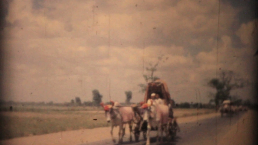 Cow carriage Stock Video Footage - 4K and HD Video Clips | Shutterstock