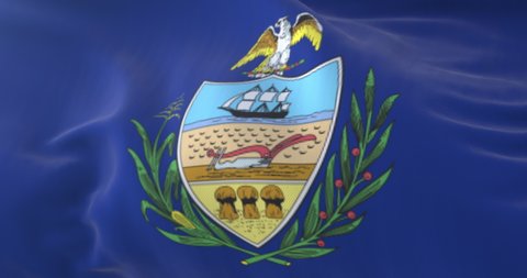 Allegheny flag Stock Video Footage - 4K and HD Video Clips | Shutterstock