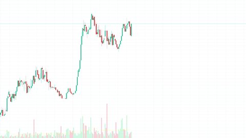 Dynamic Time Lapse Chart Trading Charts Stock Footage Video (100% ...
