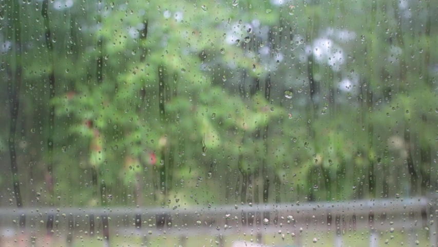 48,266 Humidity Stock Video Footage - 4K and HD Video Clips | Shutterstock