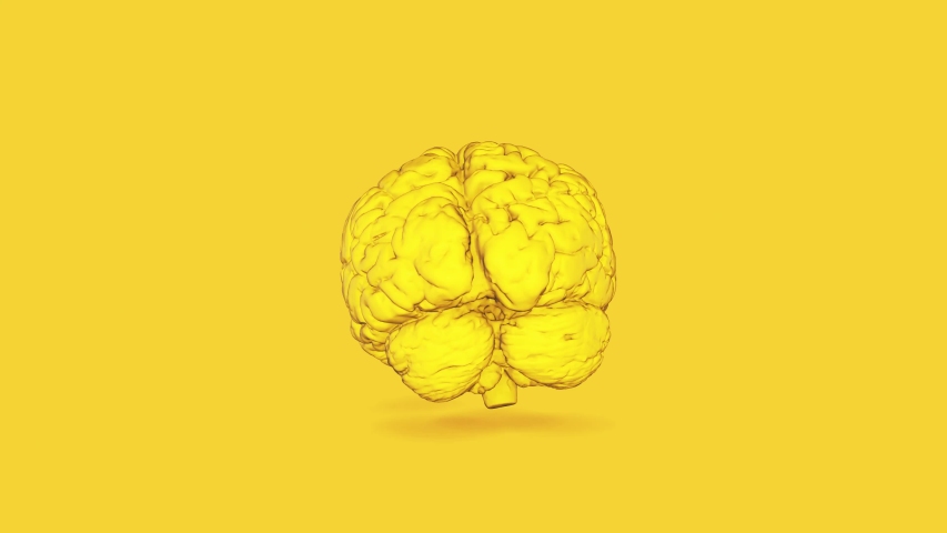 Brain Element Logo Stock Video Footage - 4K and HD Video Clips ...